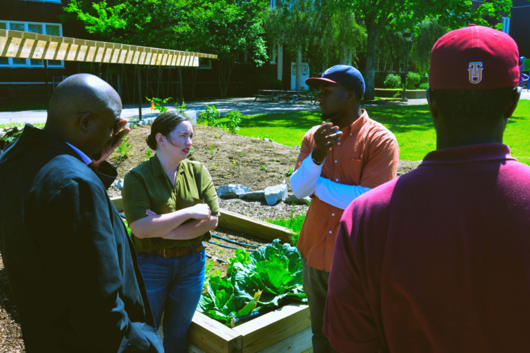 CISC Programs and Projects | Making a Positive Impact on the Chicago Community